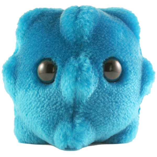 Common Cold | Terra Toys